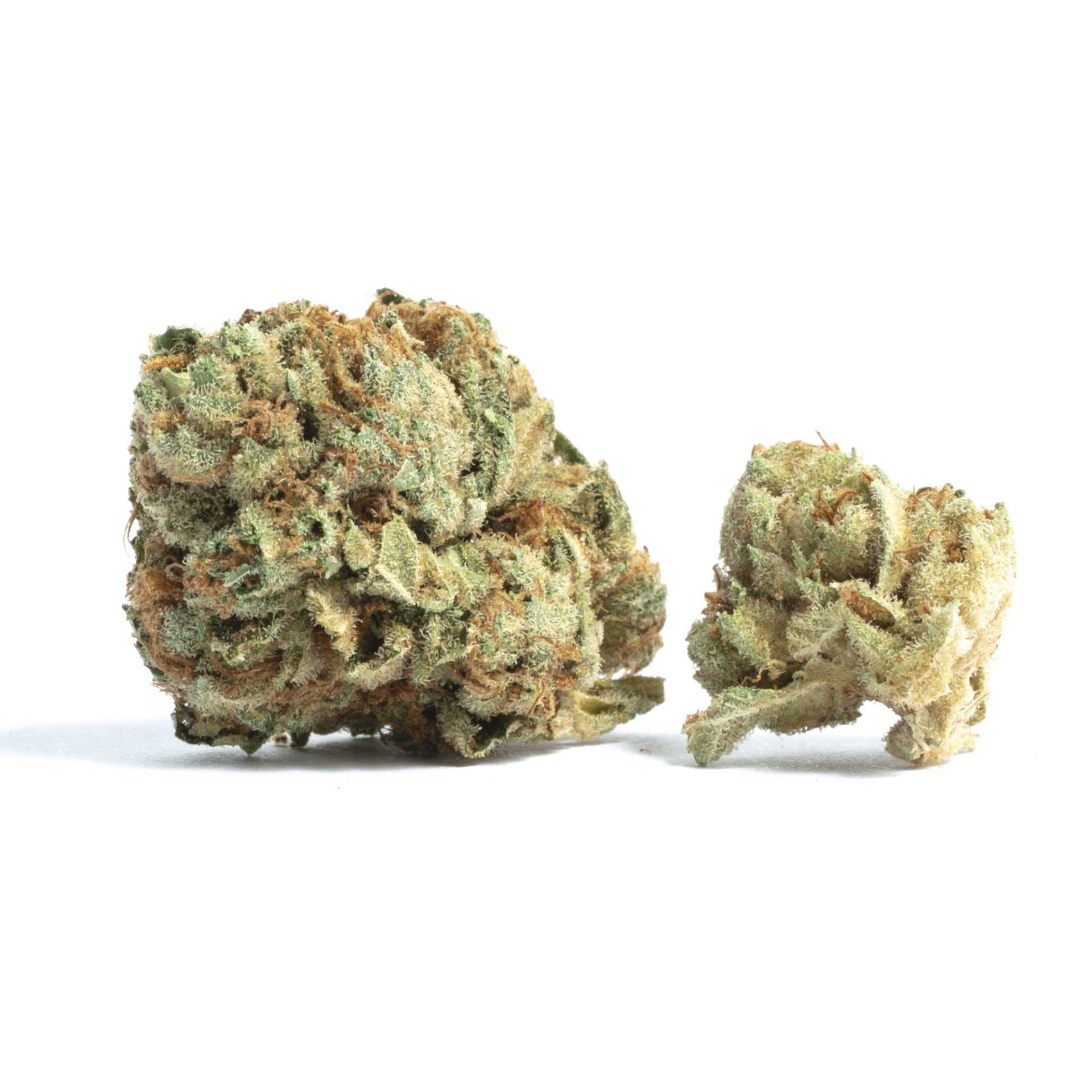 Cherry Ak Weed Strain at Natalie McGuire blog Cherry Ak Weed Strain at Natalie McGuire blog