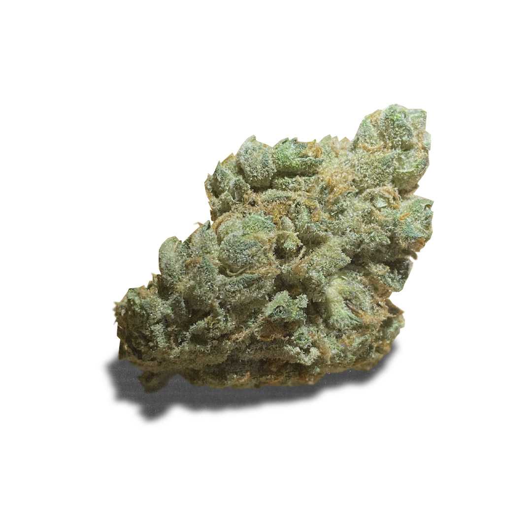 Crescendo Weed Strain Information — 2one2 Dispensary Crescendo Weed Strain Information — 2one2 Dispensary